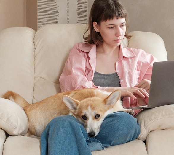 Clingy Dog? How to Build Independence - Instinct Dog Behavior & Training